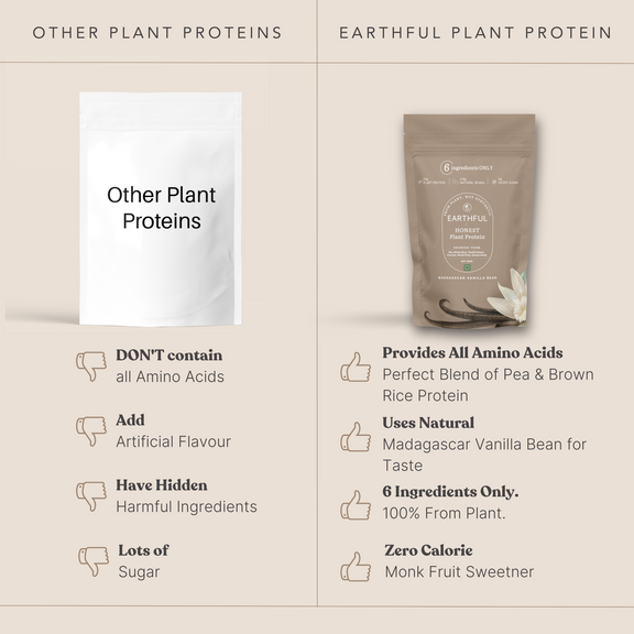 Honest Plant Protein- Madagascar Vanilla – Earthful