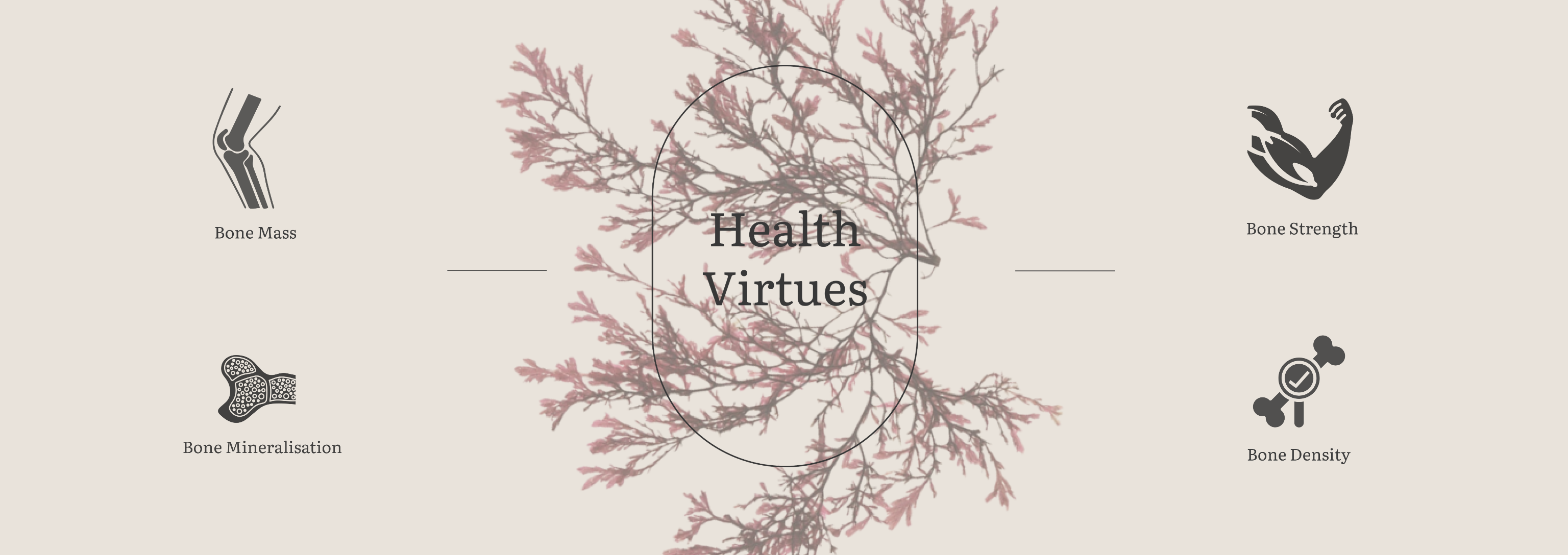 Calcium + D3 + K2 Healthy Bones – Earthful